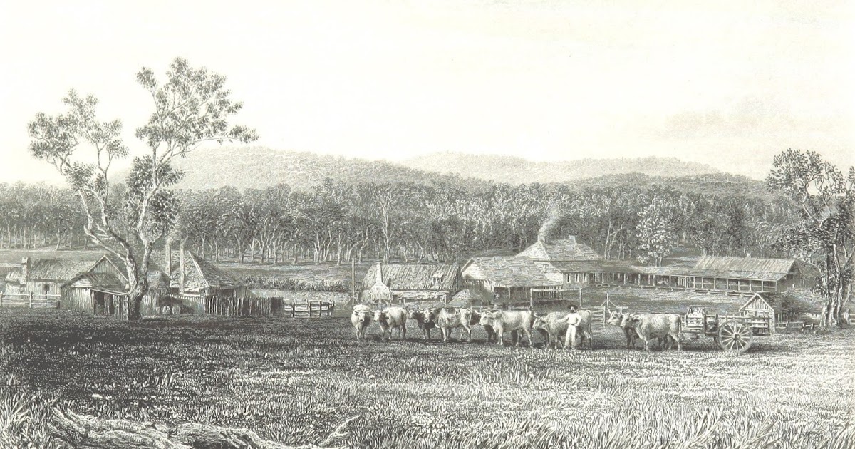 Historic Picture: A Home in the Australian Bush 1873 - Remembering the ...