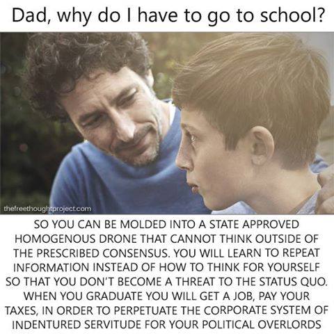 "Why You Shouldn't Go To School"