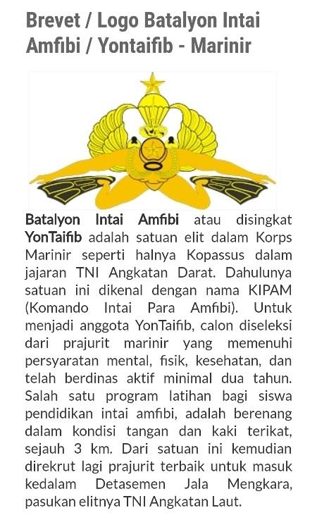 atribut dan aksesoris tni polri: pin brevet wings tni polri
