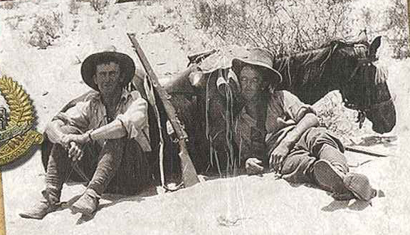 James Fagan History Blog: The New Zealand Mounted Rifles Brigade Horses ...