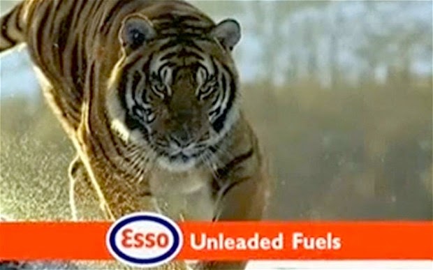 Zoo News Digest: The Esso Tiger Saved from Death