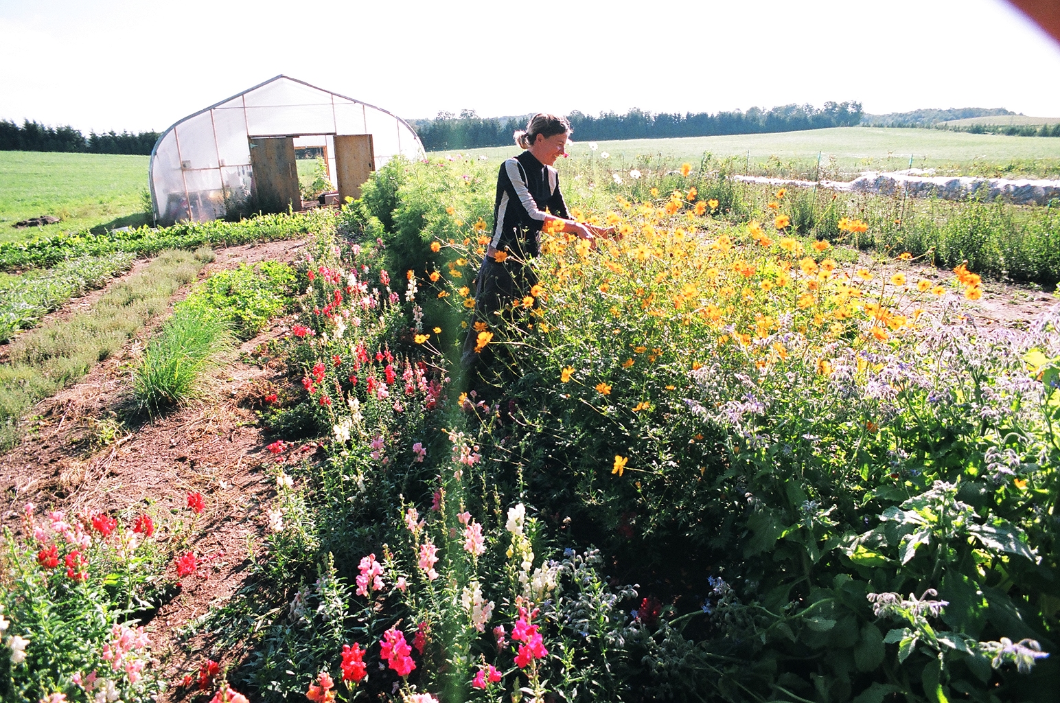 Fertile Ground: Bee Friendly Farming