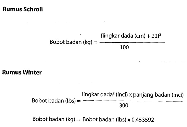 Menghitung berat badan sapi - TARUNA TANI SUMBER MULYO