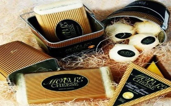 _7 Keju Paling Mahal di Dunia | Chocolate and Cheese