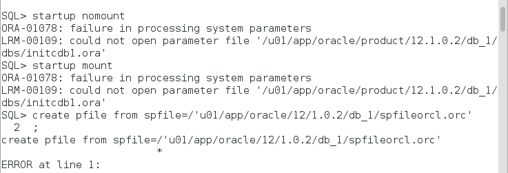 Oracle Exadata Dba Solution: ORA-01078: failure in processing system parameters