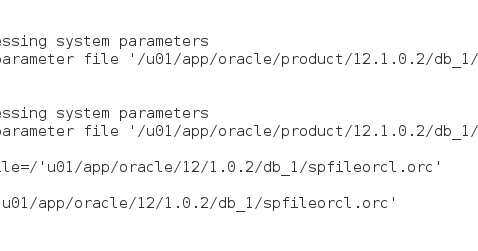 Oracle Exadata Dba Solution: ORA-01078: failure in processing system parameters