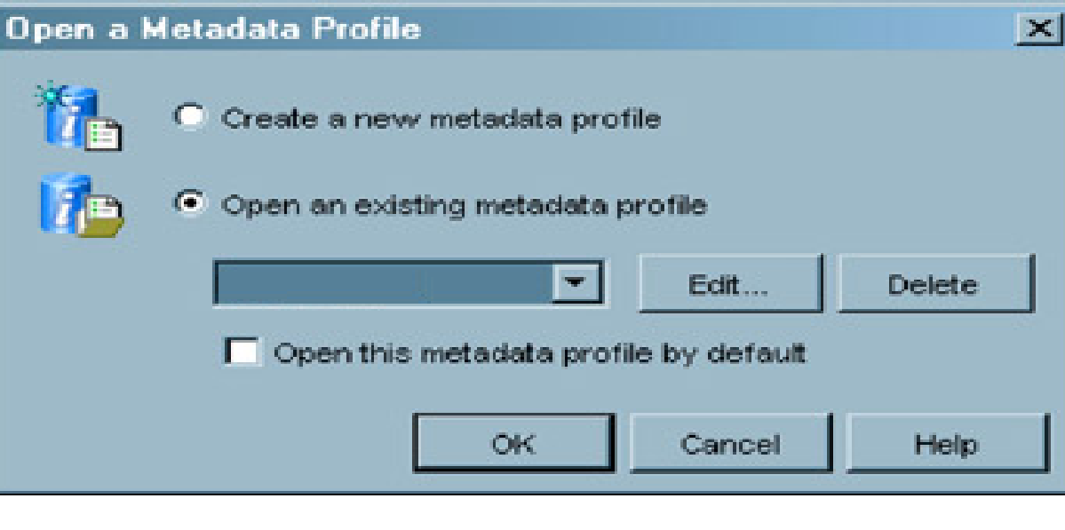 Open a Metadata Profile Window