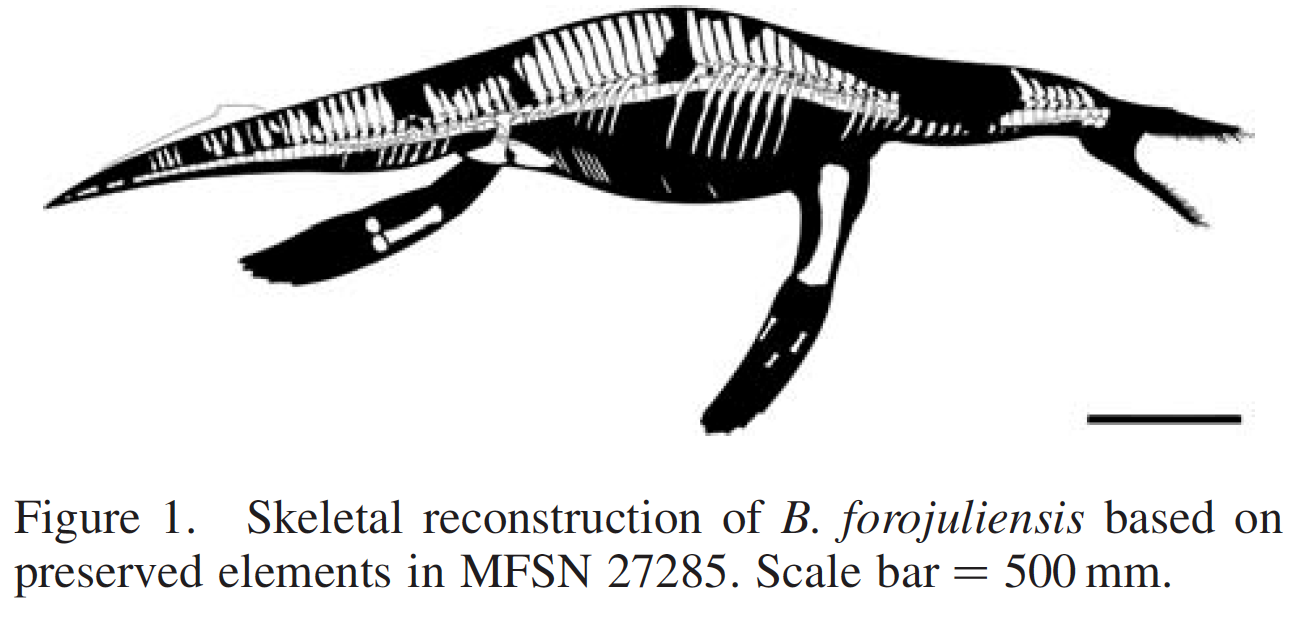 The Dragon's Tales: Plesiosaurs Had Evolved by the Carnian Triassic