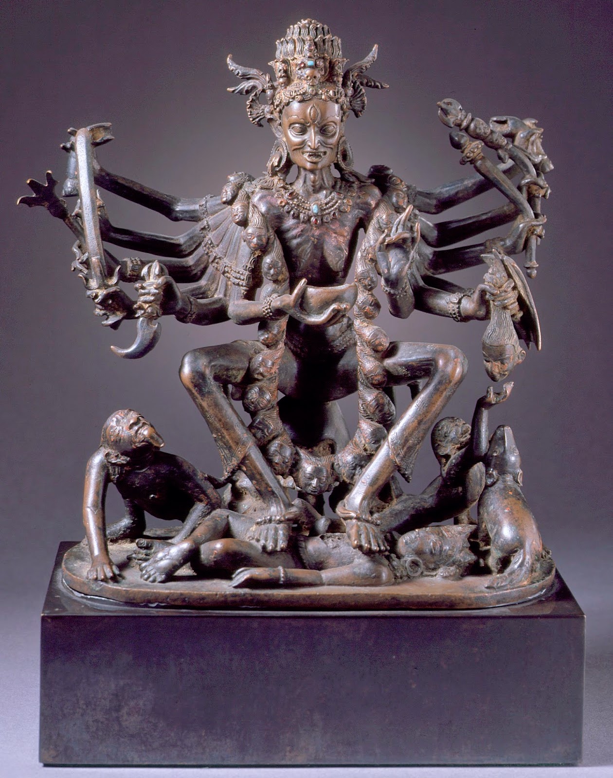 Chamunda - JungleKey.in Image