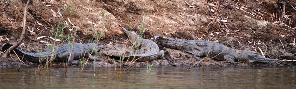 Cheney Caravan of Courage: Day 152. Ellendale Rest Area to Mary Pool ...