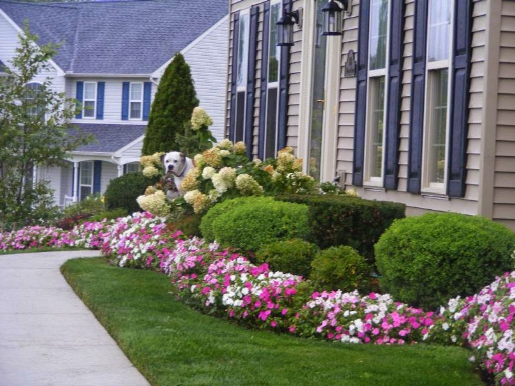 Great Landscape Design Ideas for Front Yards - Landscaping Idea