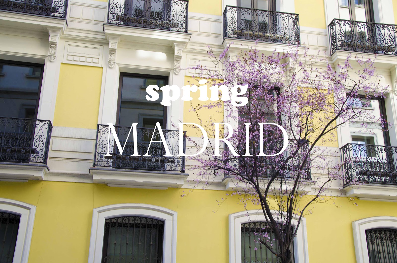 galletasdeante: spring in Madrid