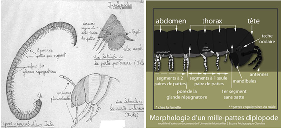 Faculté de Médecine