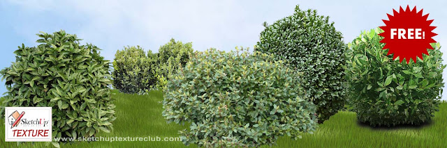 SKETCHUP TEXTURE: October 2013