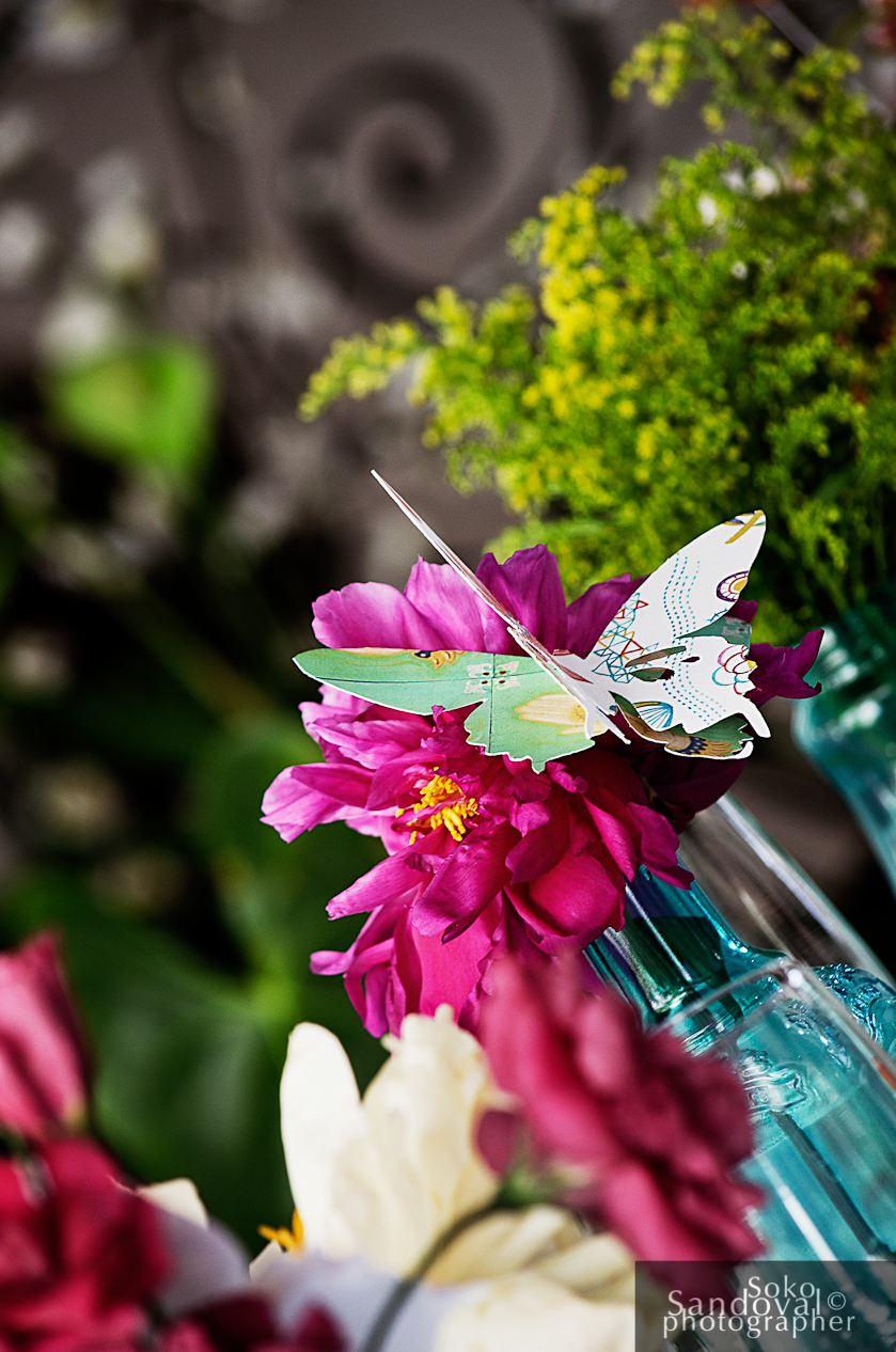 Mishka Designs' Blog