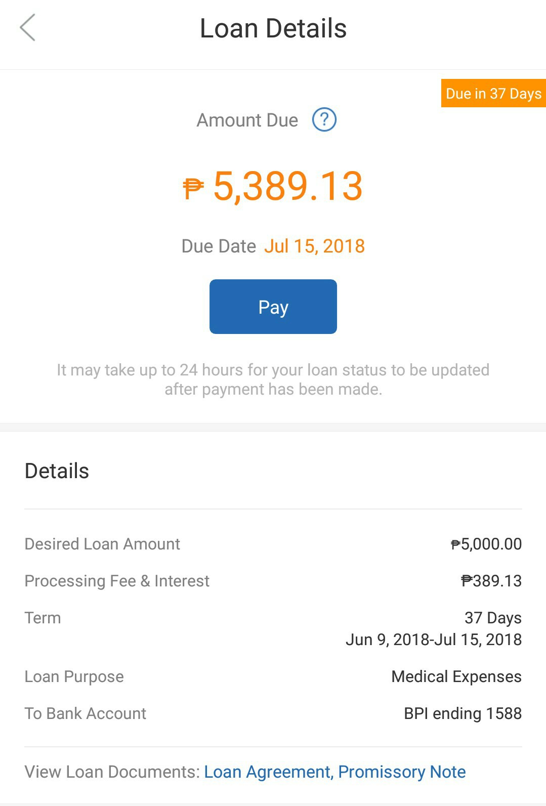 Cashalo, Online cash loan - Mga dapat malaman