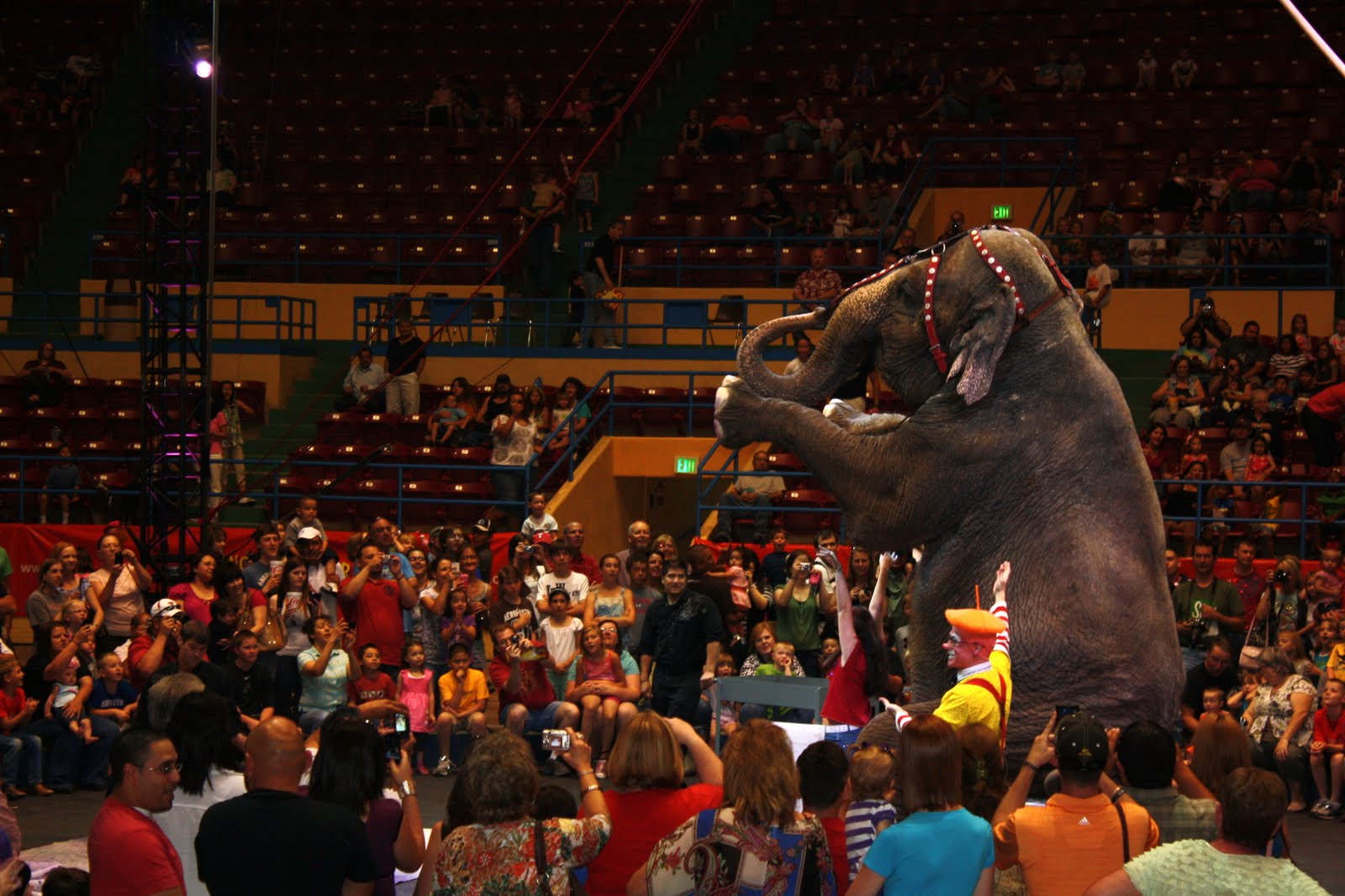 McKee Family Life: Ringling Bros. and Barnum & Bailey Circus!