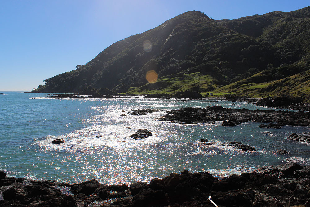 The Gluepot Gazette: Otara Bay, Whangaparaoa, Cape Runaway