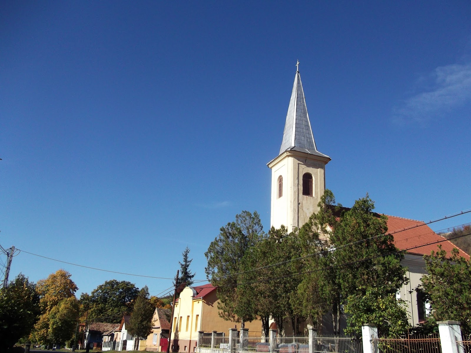Ştiinţă pentru toţi: O plimbare prin Valea Lungă Jud. Alba