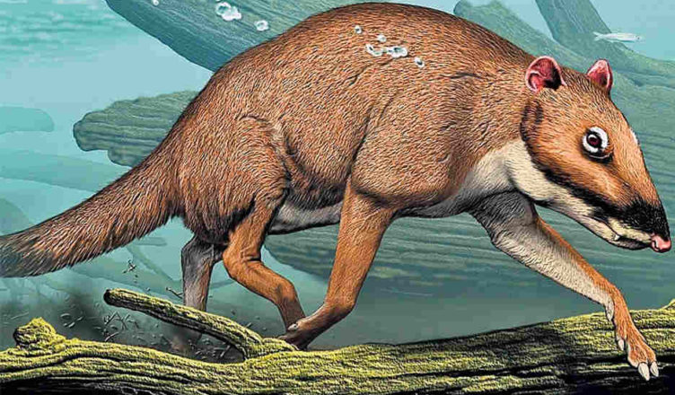 De la tierra al agua: el origen de los Cetáceos