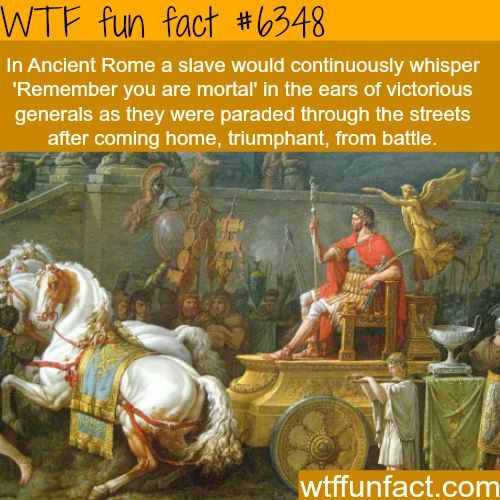 60 Amazing Random Facts | Amazing WTF Facts