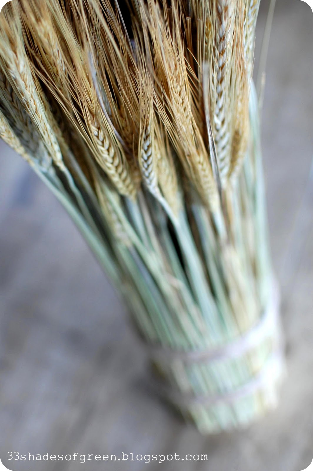 33 Shades of Green: Fall Craft: Wheat Bundle Tutorial