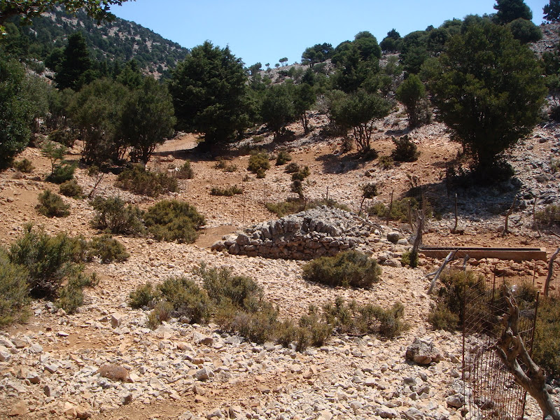 ΜΑΔΑΡΑ: ΤΩΝ ΚΡΙΓΙΑΡΑΔΩΝ Η ΣΤΕΡΝΑ