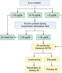 Hello USA: cosyntropin stimulation test