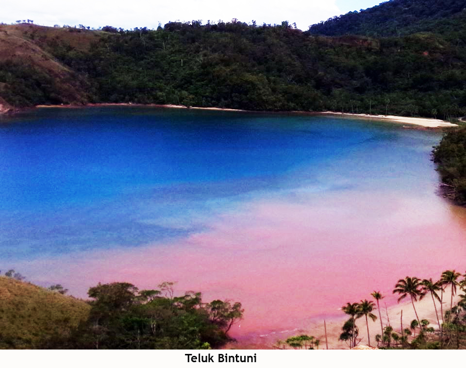 The Beauty Landscape of Indonesia: Beautiful Scenary from West Papua