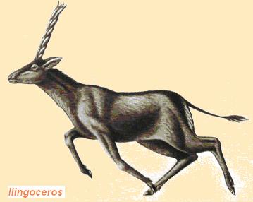 Los animales en la prehistoria: julio 2013