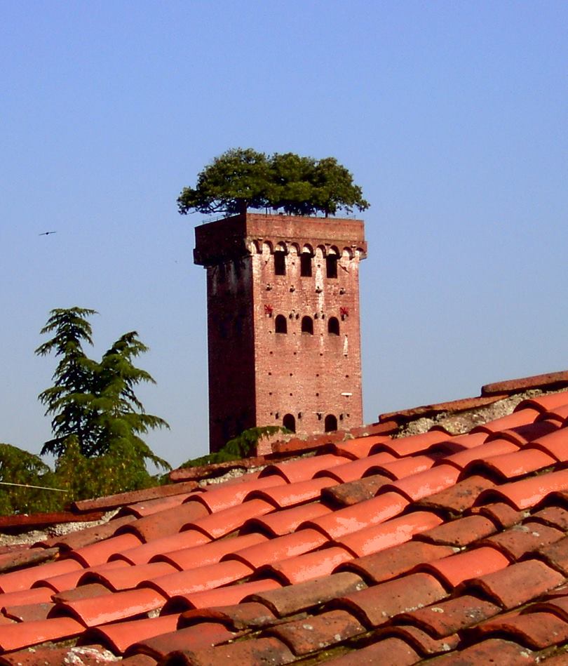 Guinigi Tower Crowned With Oak Trees