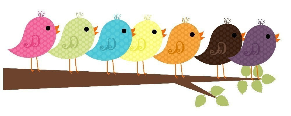 Mrs. Howard's Busy Birds: Classroom Tour