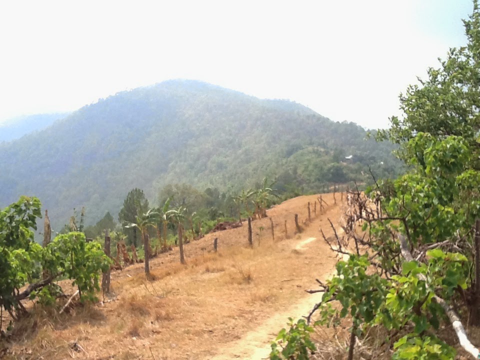 Urban Community Eco Tours: The Largest Valley Of Asia