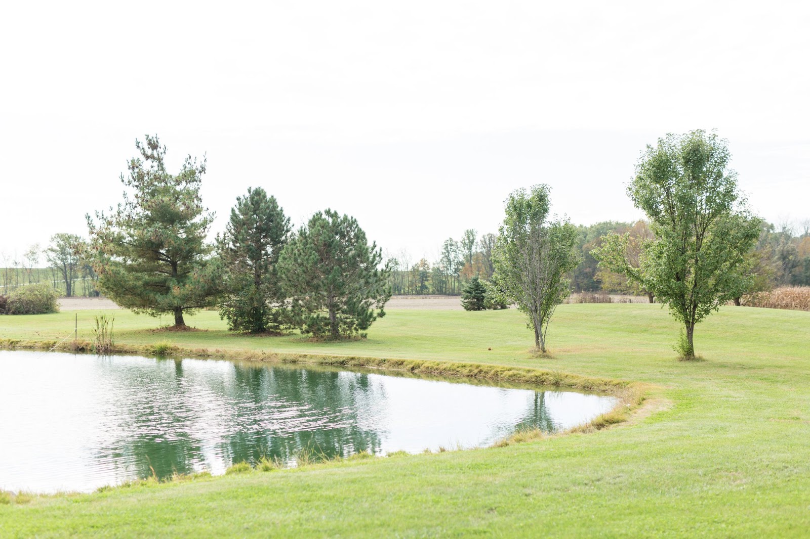 Mythical Fall Wedding at Crago Farms – Michelle Joy Photography
