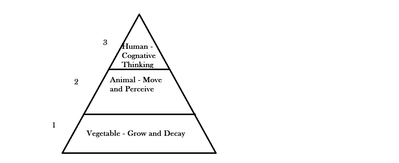 The Theory of James: Aristotle Classification of Life
