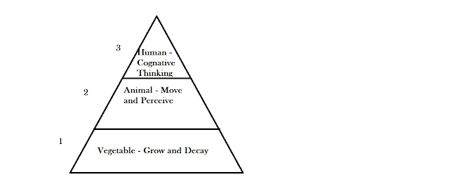The Theory of James: Aristotle Classification of Life