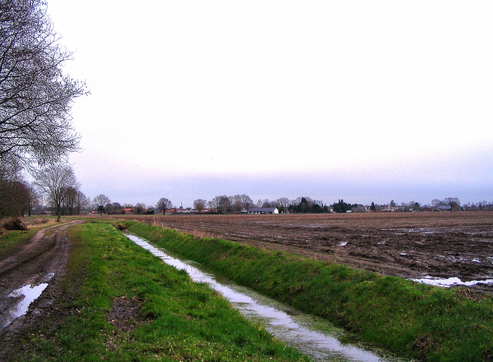 Weert en natuur: Een stukje geschiedenis van het Areven