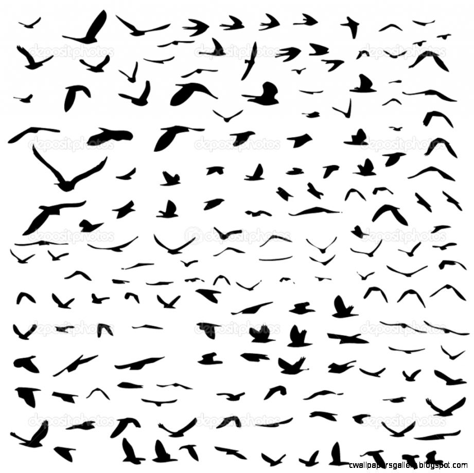 Small Flying Bird Silhouette | Wallpapers Gallery