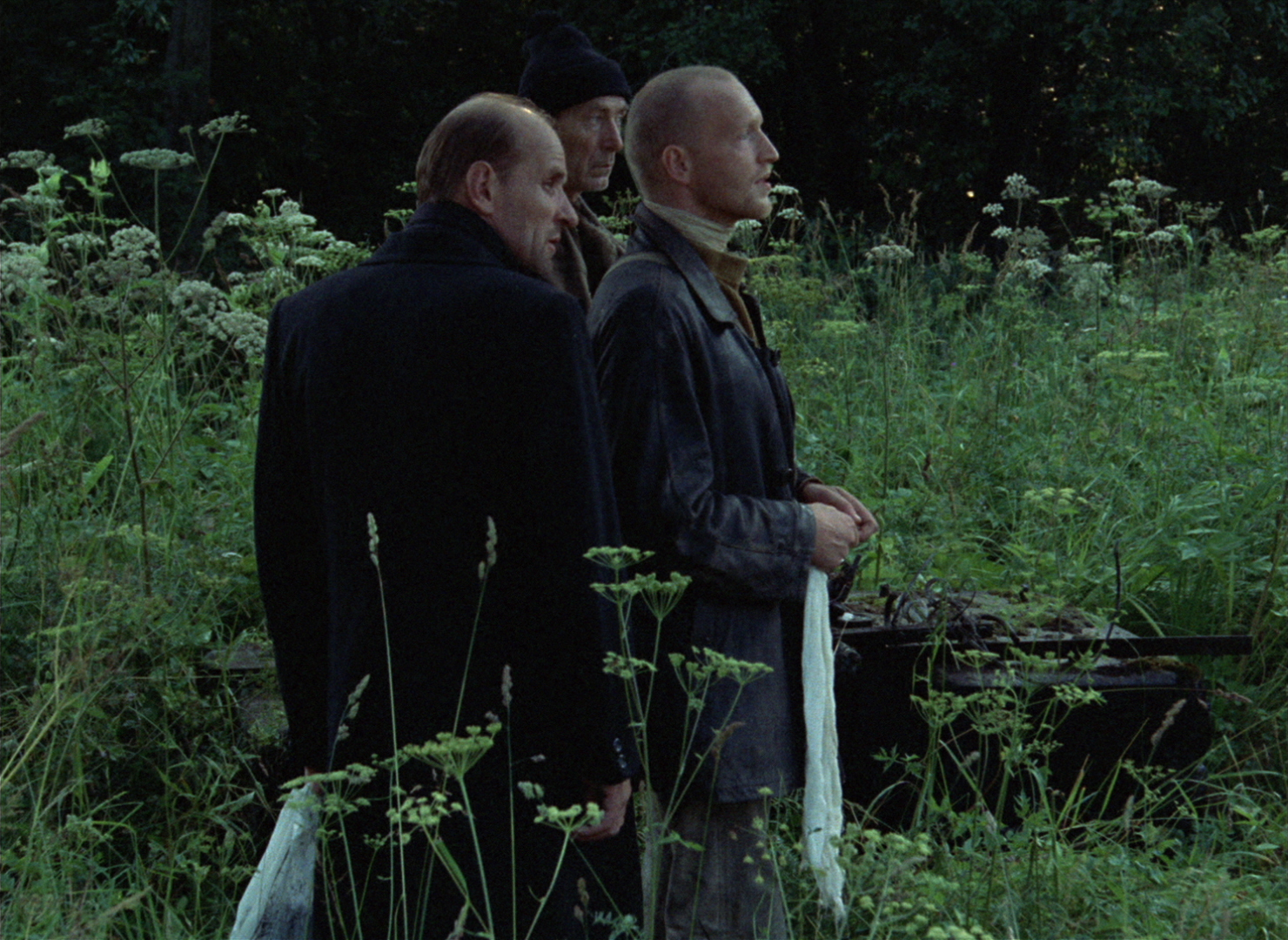 Science's Less Accurate Grandmother: Into the Zone: Andrei Tarkovsky's ...