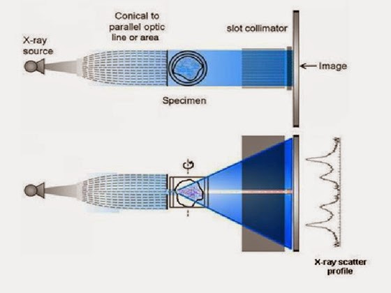 Micro-CT 微計算機斷層掃描技術簡介 | Mr. Opengate