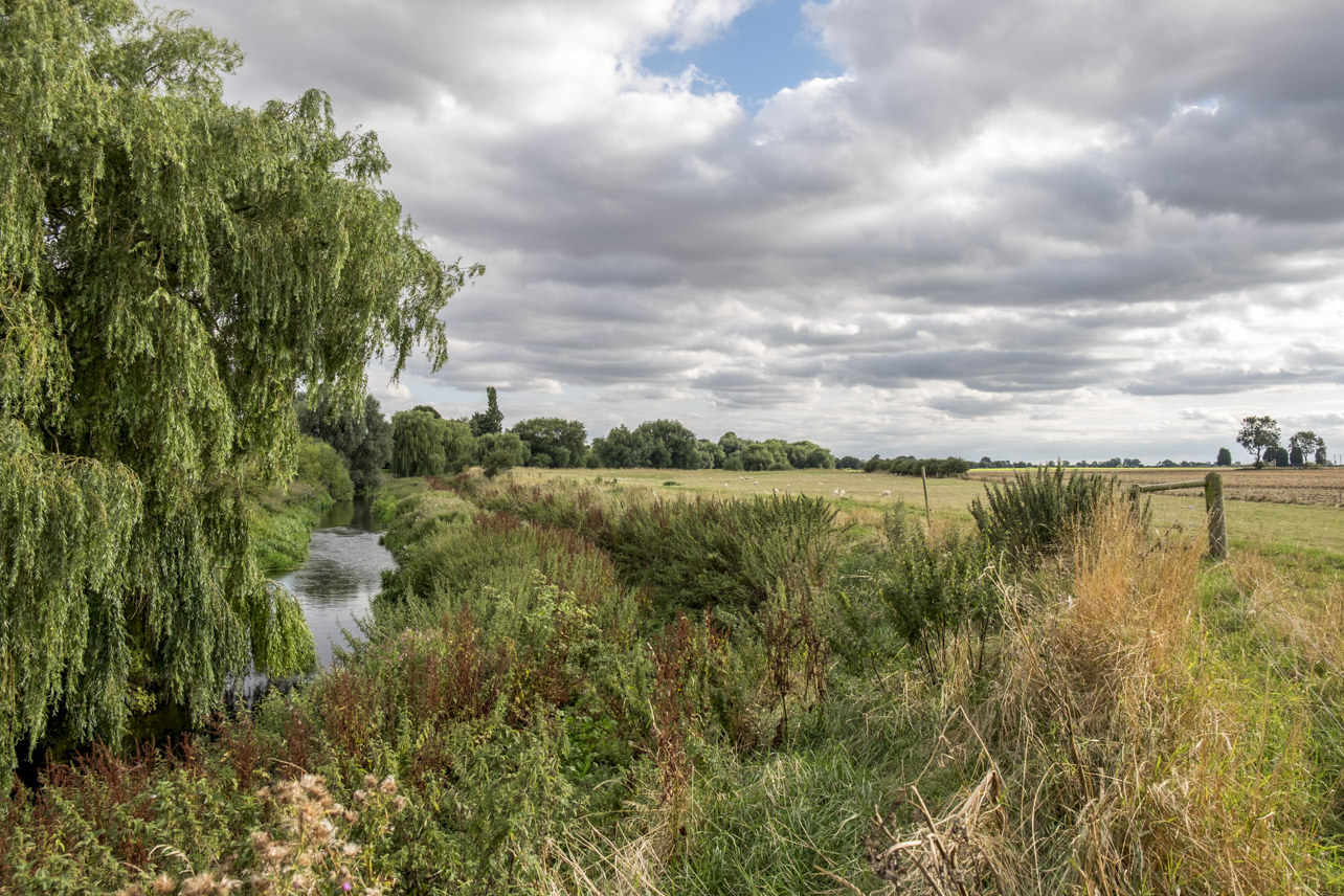 Mike's Natural Musings: The Upper River Witham.