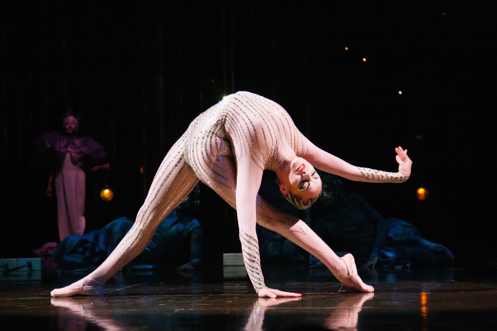 The Staycationer: Varekai | Cirque du Soleil | Kingston Show