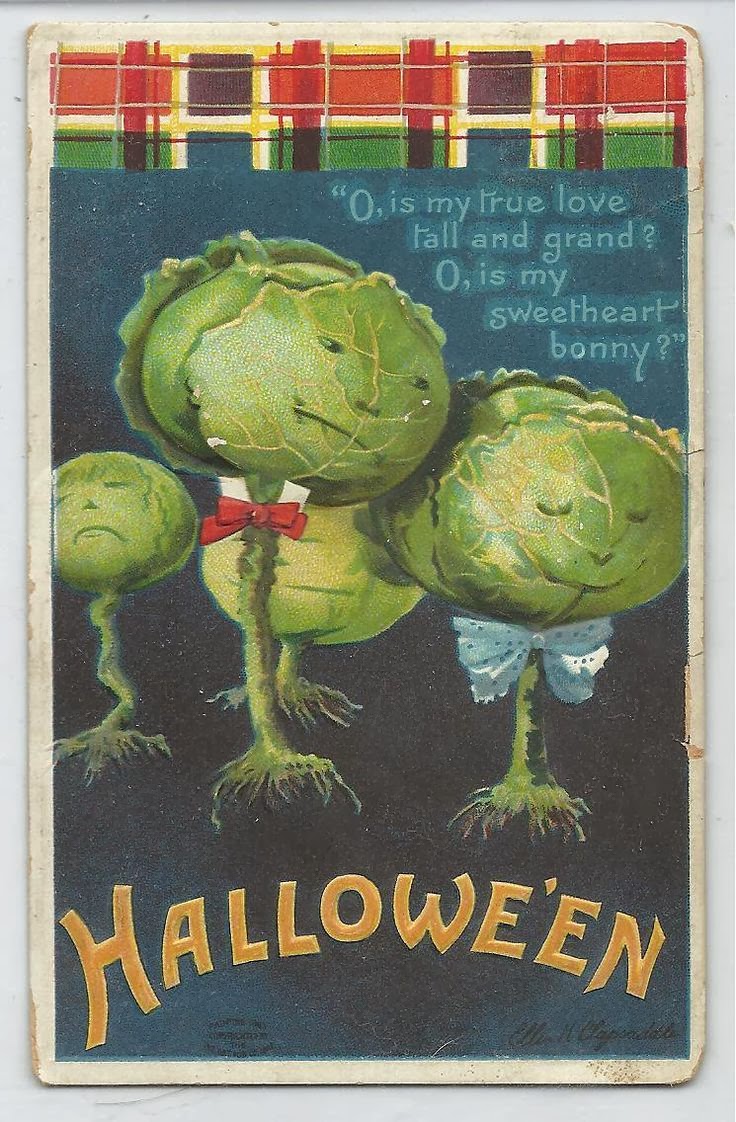NEW ENGLAND FOLKLORE: Halloween Magic: Grab Your Cabbage