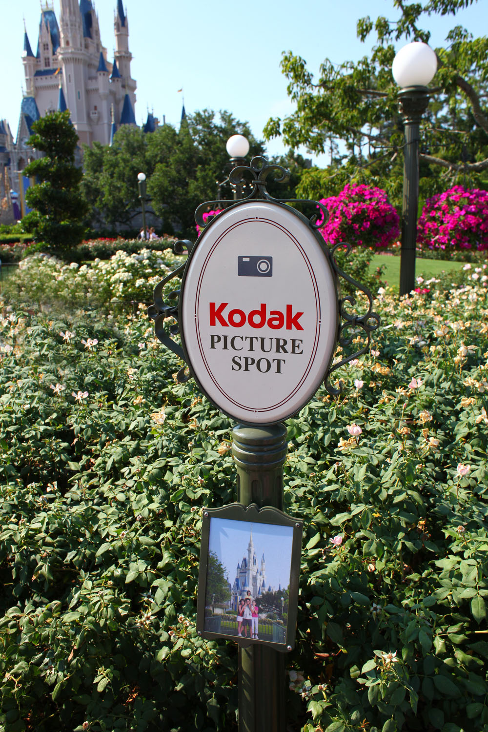 The Filmstrip by Huron Photo: Kodak Moments