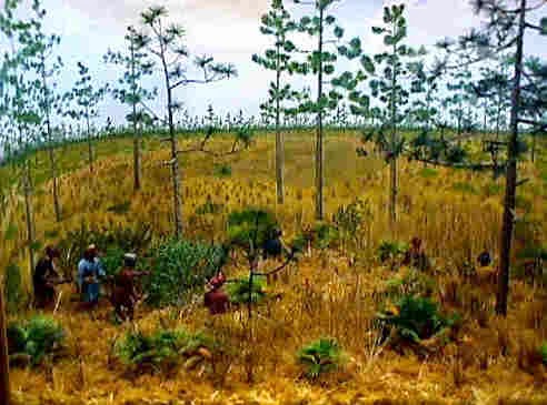 Detour Through History: Dade Massacre In Florida