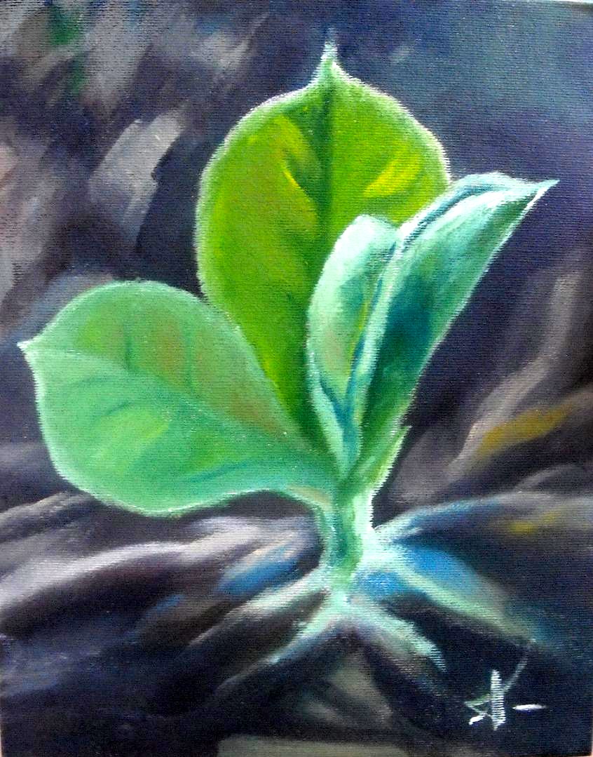 "A Painting A Day" by Konstantia Karletsa: Power of sprout