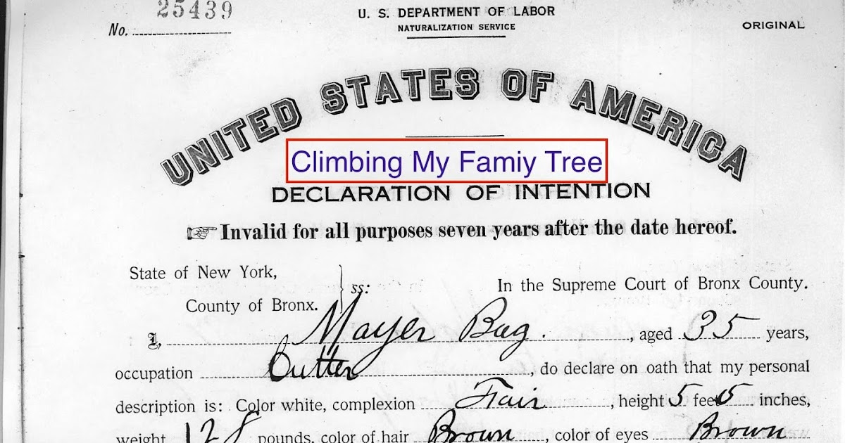 Climbing My Family Tree: Great Uncle Mayer Petitioned for ...