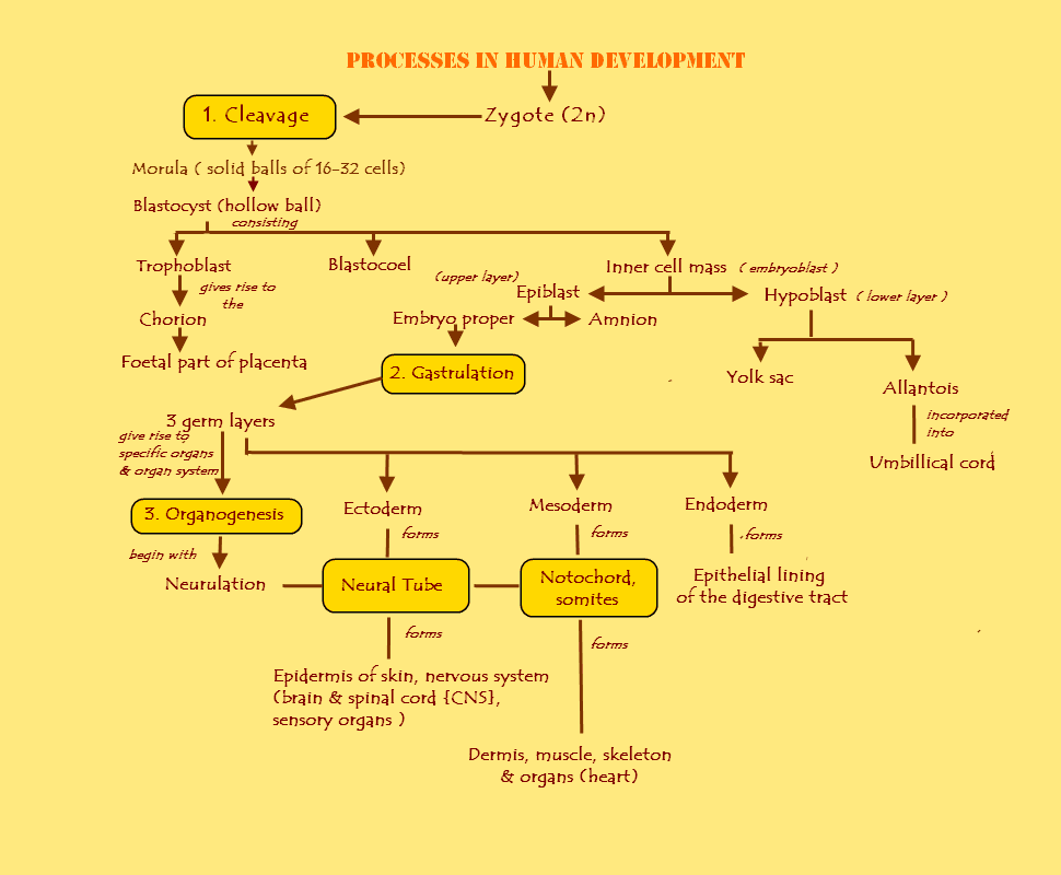 ACADEMIC ZONE: BIOLOGY ZONE
