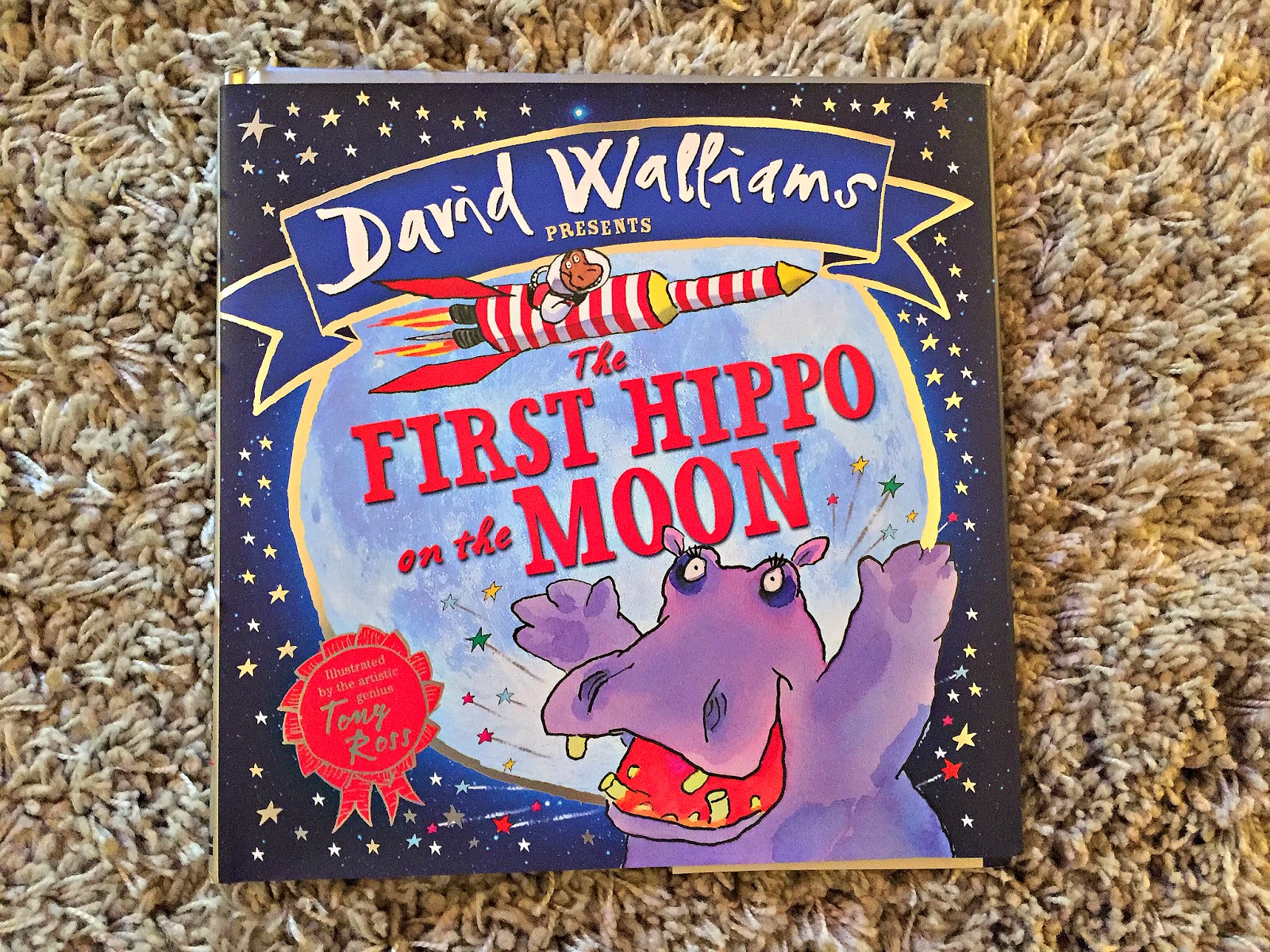 Tiny Baby Socks: REVIEW & GIVEAWAY | The First Hippo on the Moon by ...