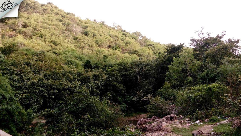 Pearl valley (Muthayala maduvu) and Thattekere - Meet my new beast 02 ...